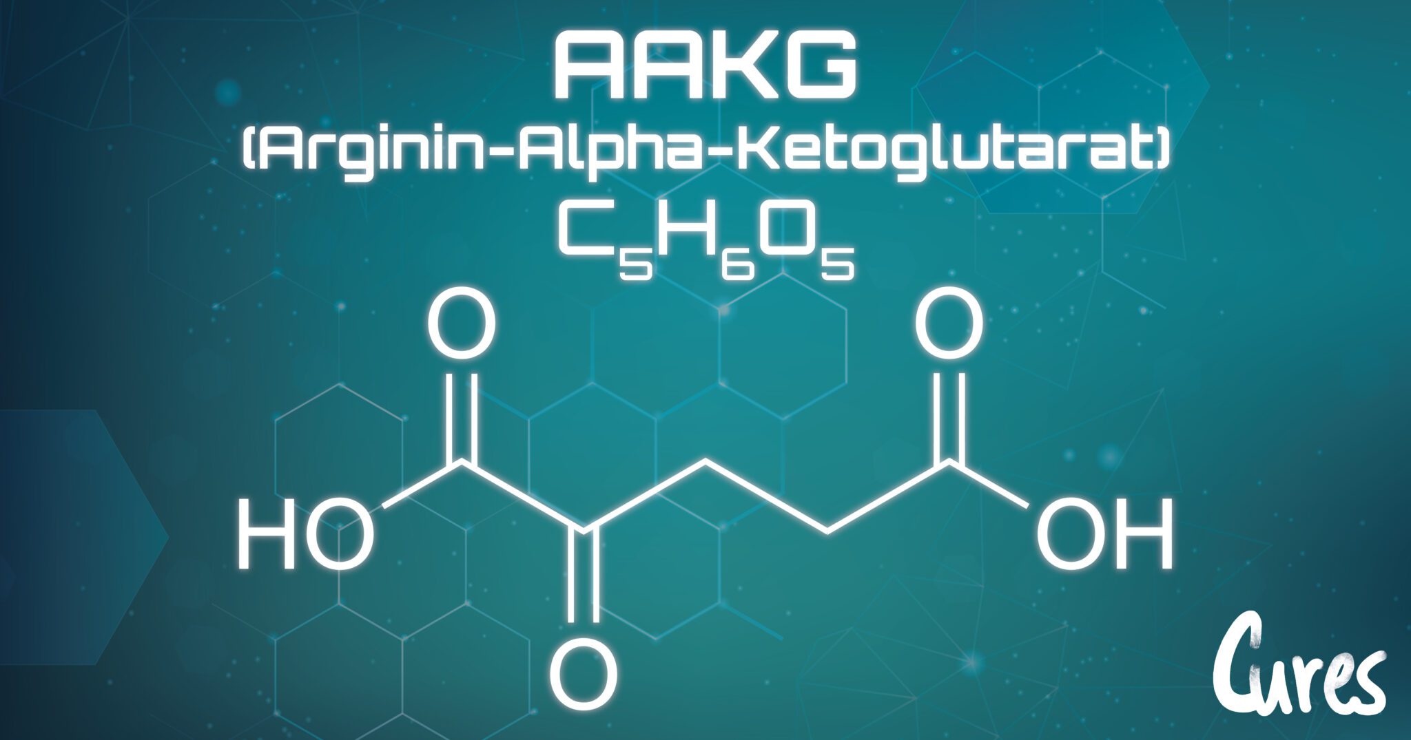 Die Aminosäure AAKG als Unterstützung für den Muskelaufbau – Cures